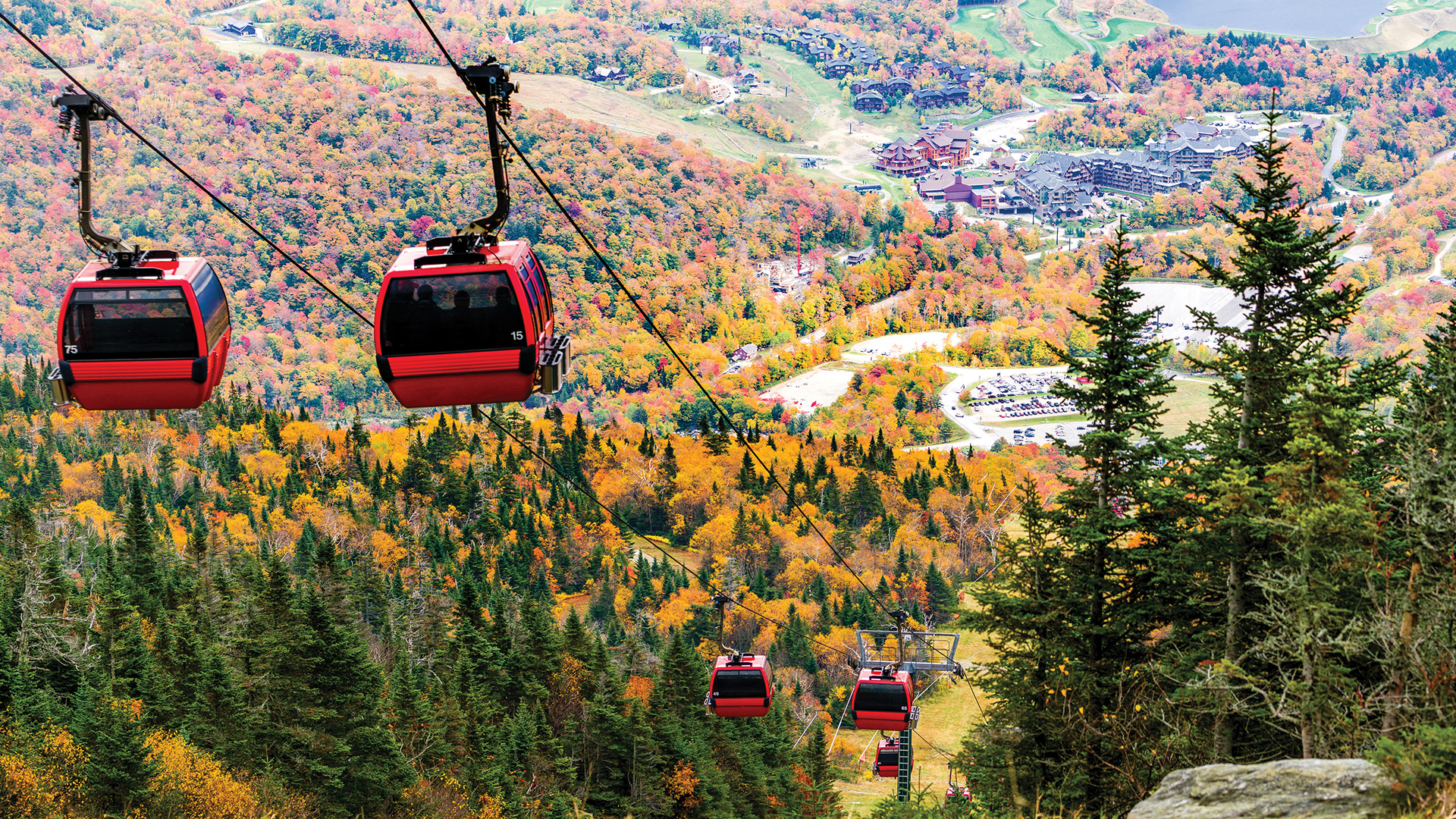 Internova Experiences - Article