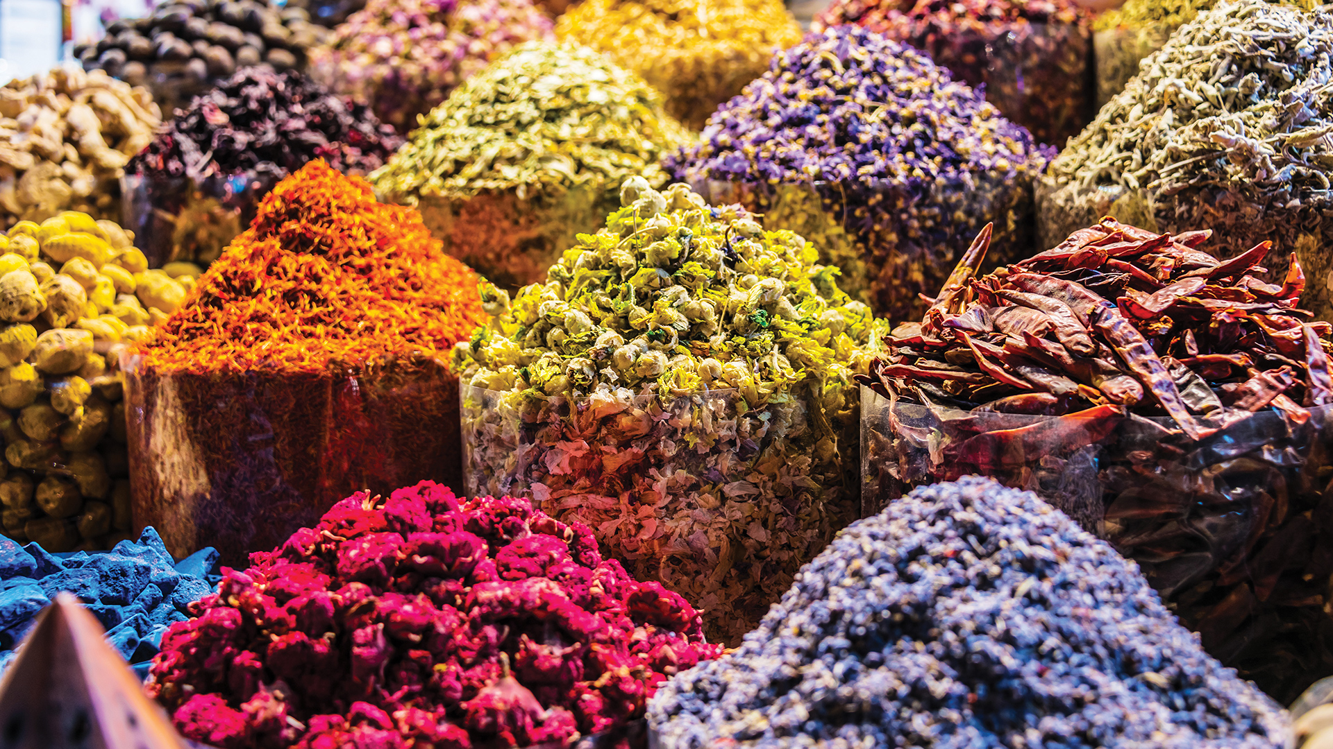 Internova Experiences - Article