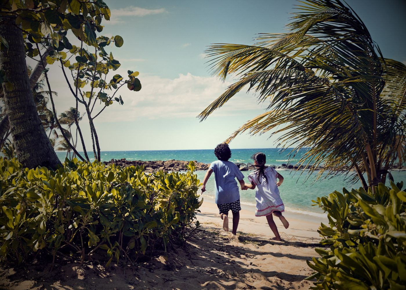 Internova Experiences - Article