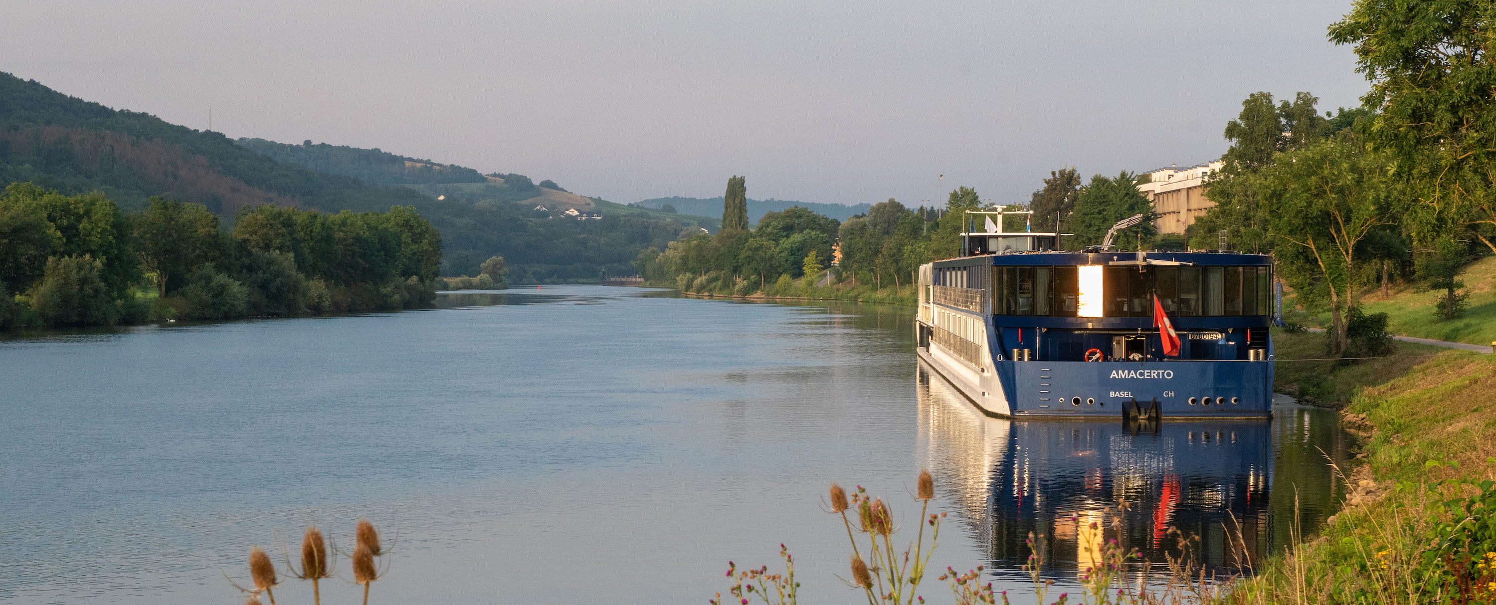 Internova Experiences - Article