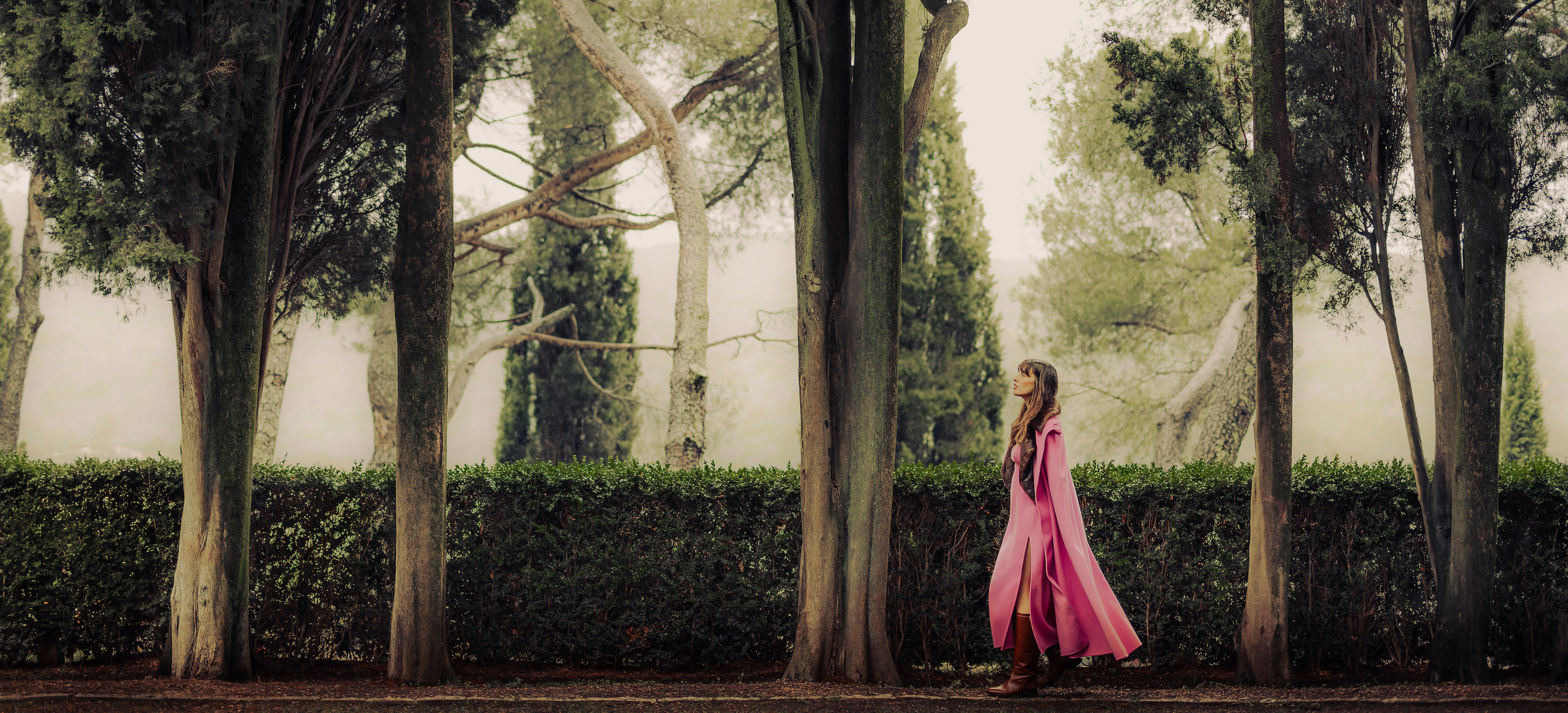 Internova Experiences - Article