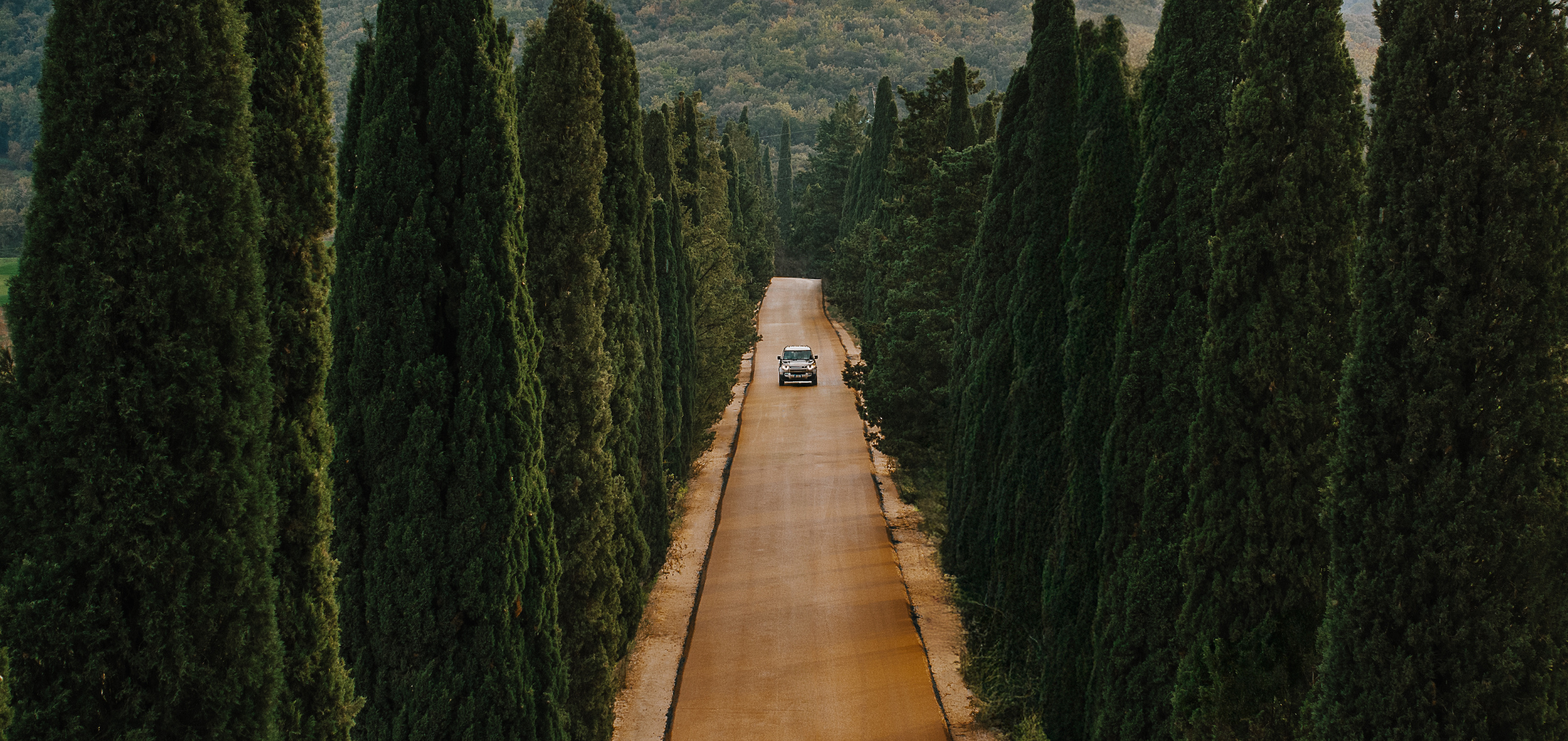 Internova Experiences - Article