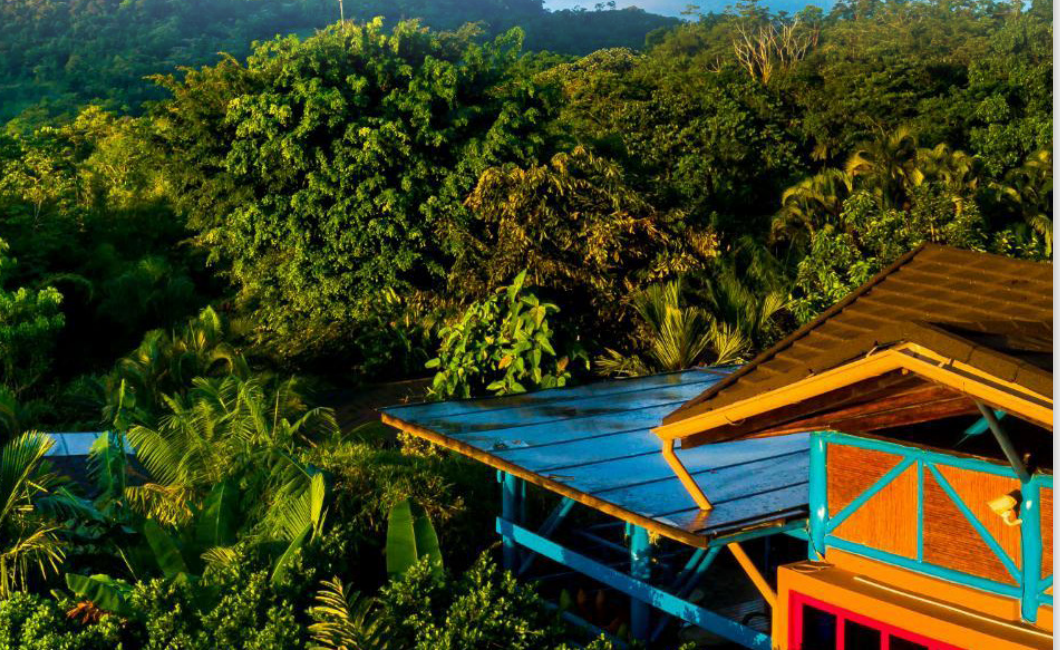 Internova Experiences - Article