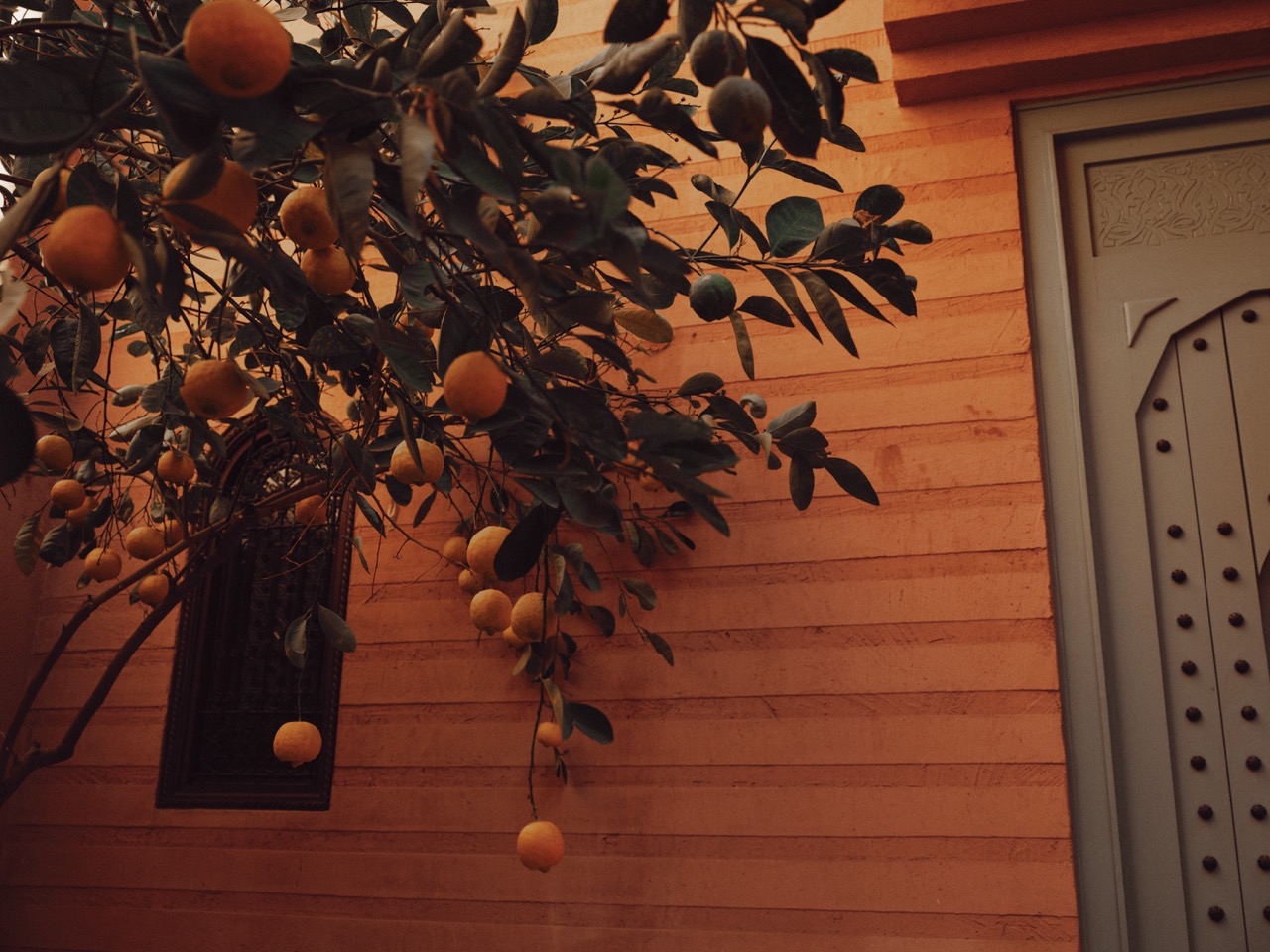 Internova Experiences - Article