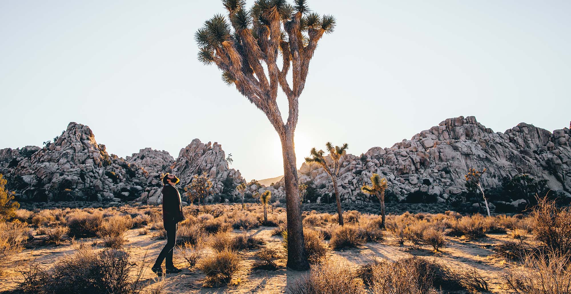 Internova Experiences - Article